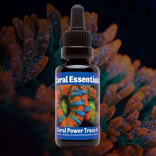 Coral Essentials Coral Power Trace A - CoralVault